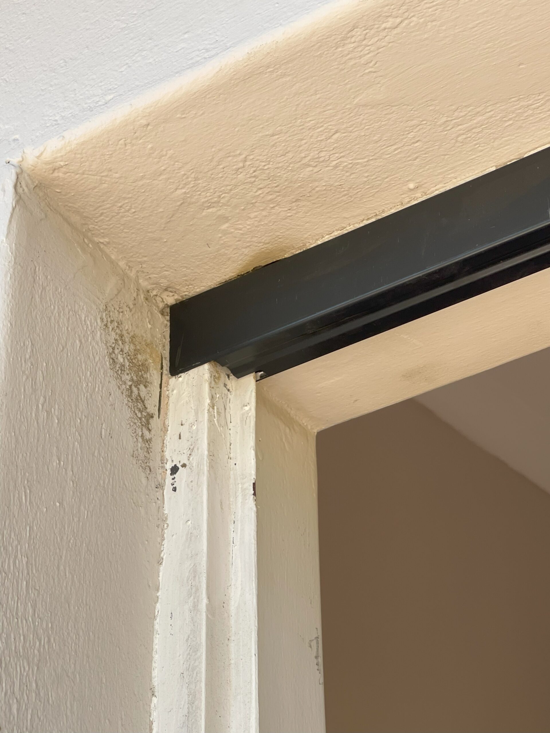 Steel Window Replacement – BuildWise Manufacturing & Distribution